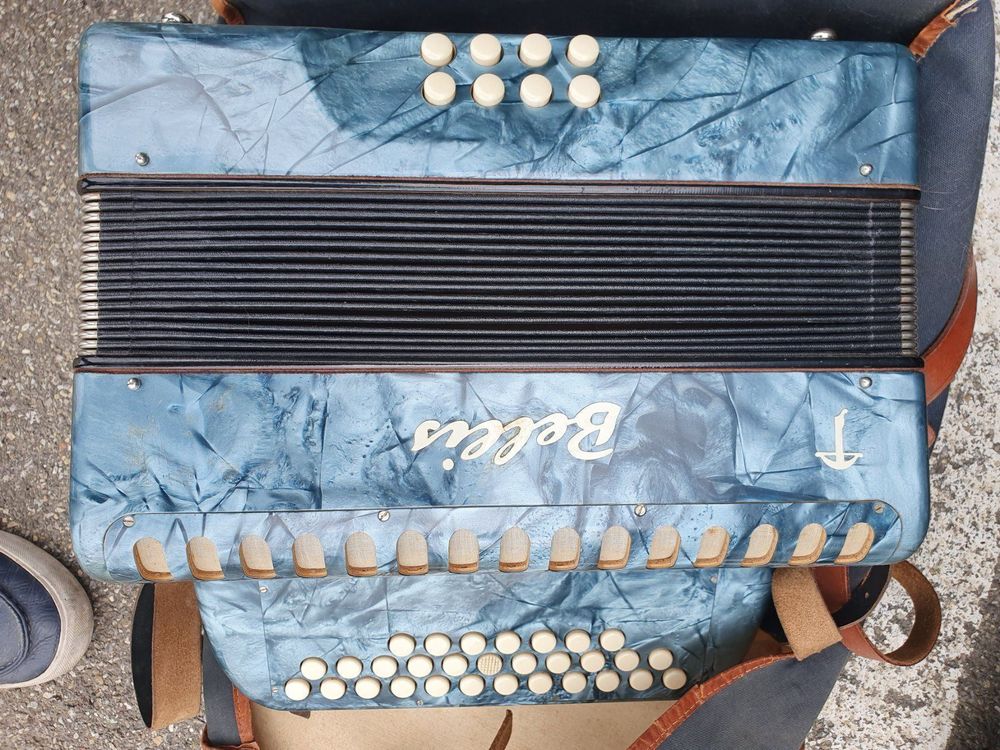 Bellis akkordeon (Gebraucht) in Rämismühle für CHF 100 – mit Lieferung ...