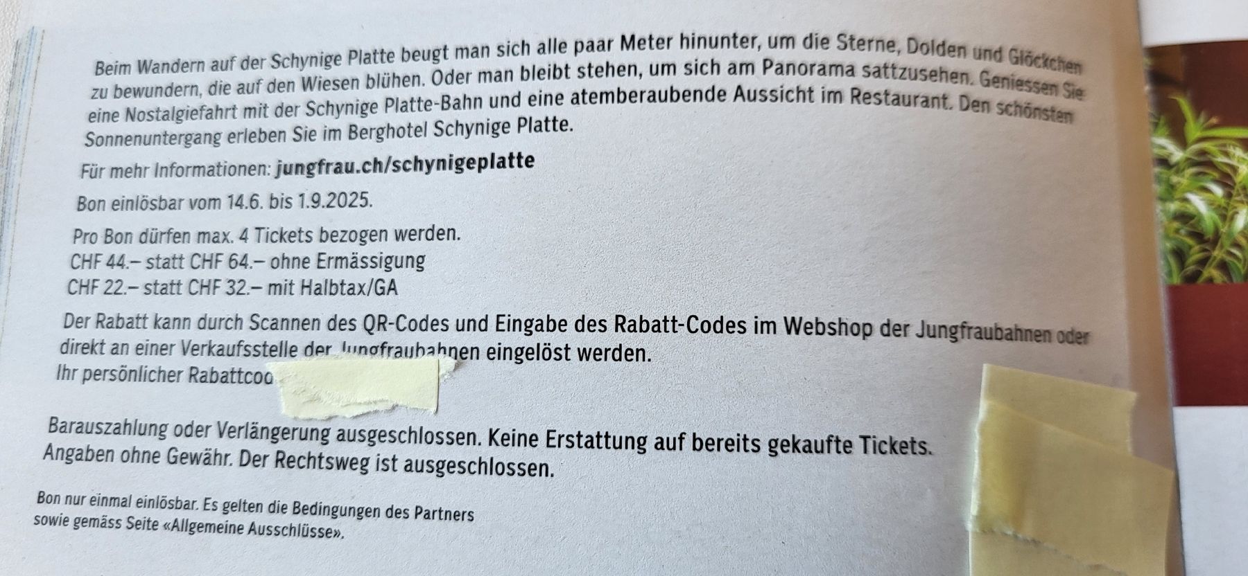 Schynige Platte 30% Code (Neu (gemäss Beschreibung)) in Uttigen für CHF 0.5 – mit Lieferung auf ...