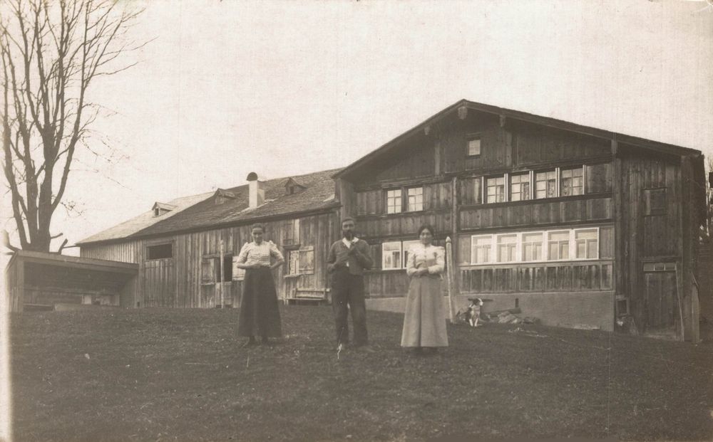 Appenzeller Bauernhaus mit Besitzern (Gebraucht) in Bronschhofen für CHF 12 – mit Lieferung auf ...