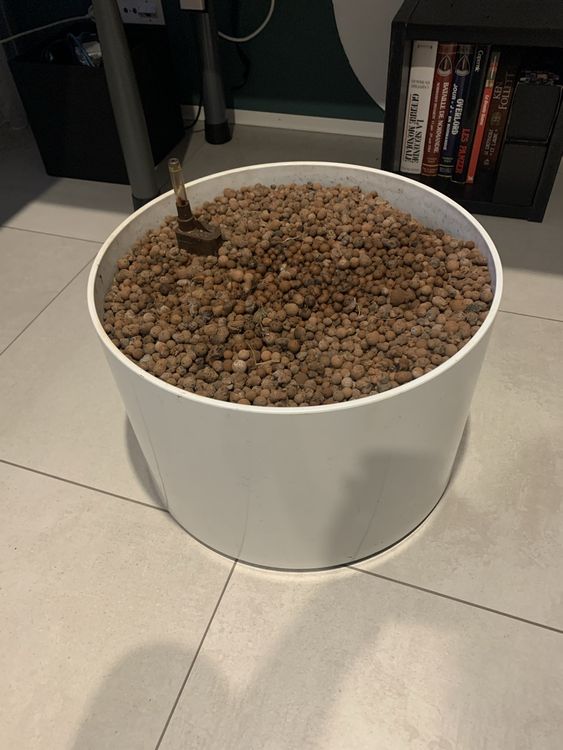 Grand pot blanc avec billes d'argile Luwasa (D'occasion) à Biel/Bienne pour CHF 15 – retrait ...