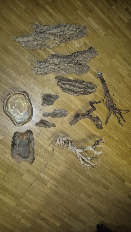Terrarium Deko Set: Wurzeln, Wasserschale, Kork (Gebraucht) in Urtenen ...
