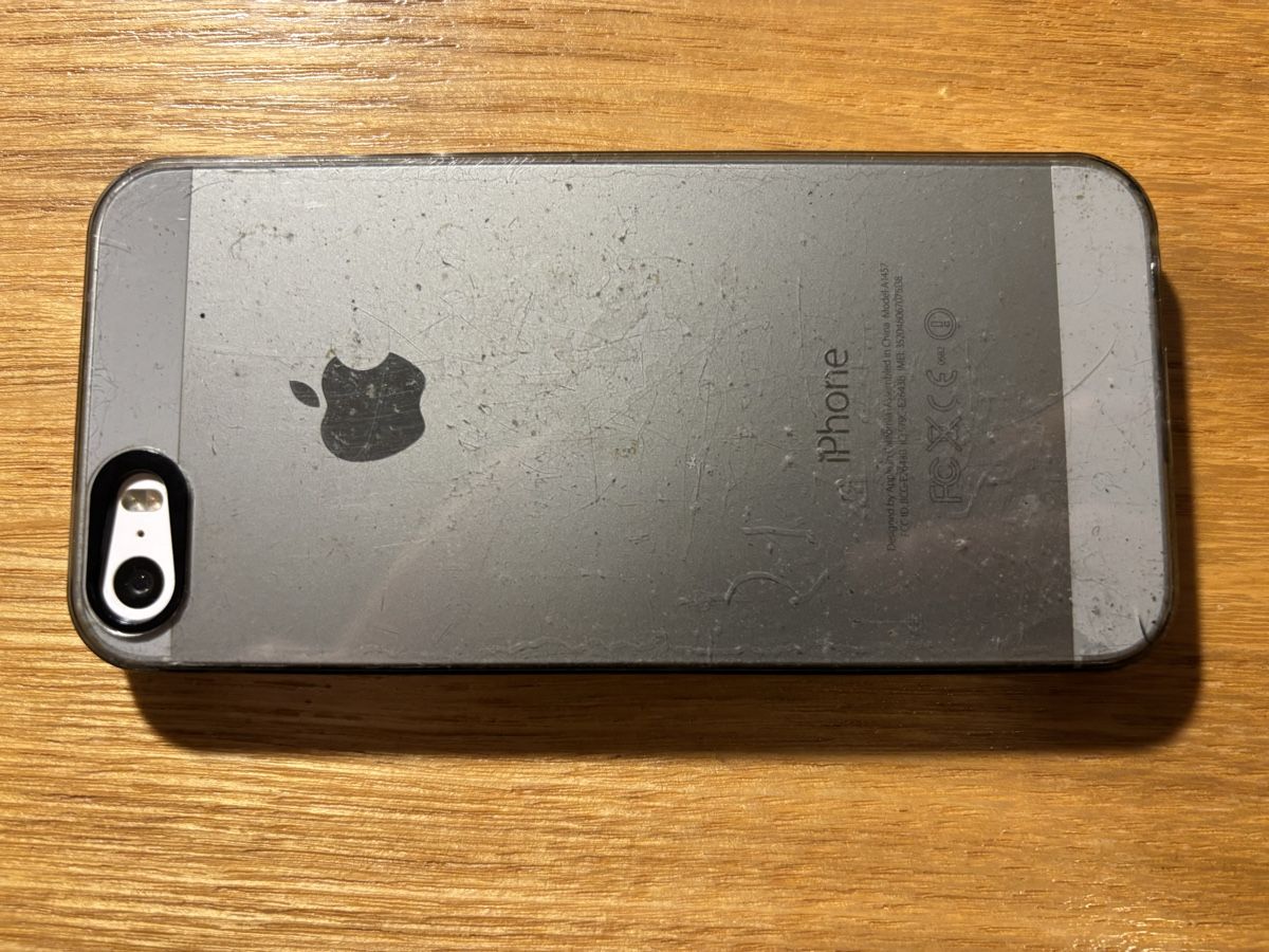iPhone 5S - 16GB bianco (Usato) a Muralto per CHF 35 – con consegna ...