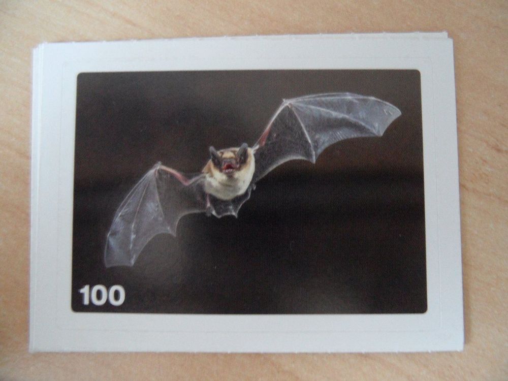 Animal Nature Dedectives Nr.100 (Neu (gemäss Beschreibung)) in Tenniken ...