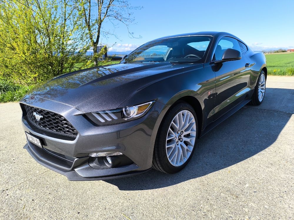 Ford Mustang Fastback | Kaufen auf Ricardo