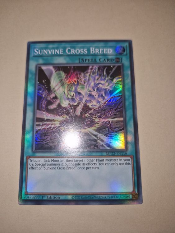 Sunvine Cross Breed | Kaufen auf Ricardo