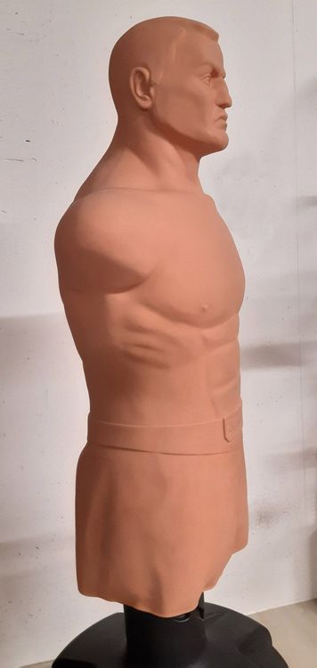 Century Bob Torso XL mit Tiefbereich (Gebraucht) in Ermenswil für CHF ...