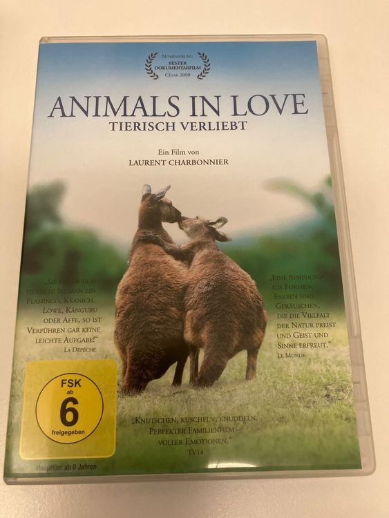 Animals In Love (DVD) (Gebraucht) in Arbon für CHF 4 – mit Lieferung ...