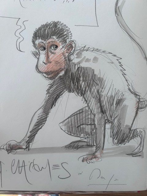 INDIA DREAMS - 3 tomes dont 1 dédicacé par JF Charles (Gebraucht) in La ...