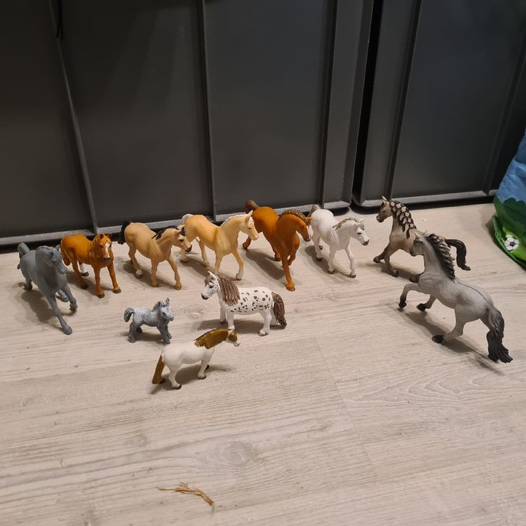 Schleich Pferde (Gebraucht) in Niederglatt ZH für CHF 22 – nur Abholung auf Ricardo kaufen