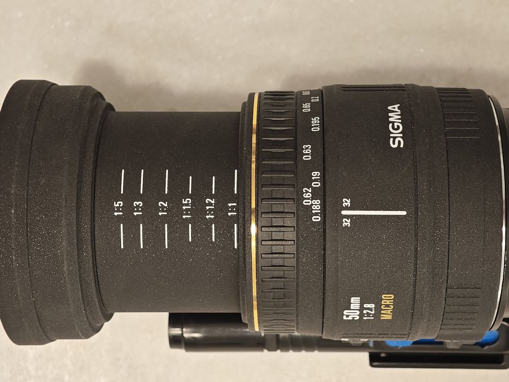 Sigma 50mm f/2.8 EX Macro Lens for Canon - Perfect! (Gebraucht) in Cham ...
