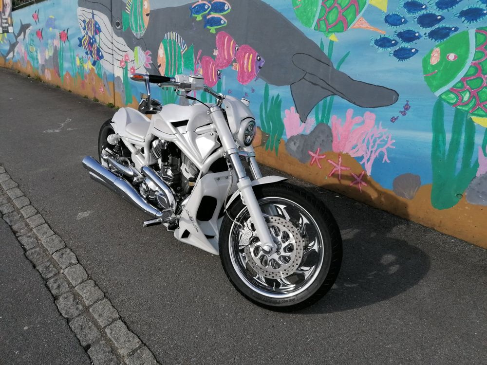 Harley Davidson V ROD 300🔥🔥🔥 (Gebraucht) in Kaltbrunn für CHF 18500 ...