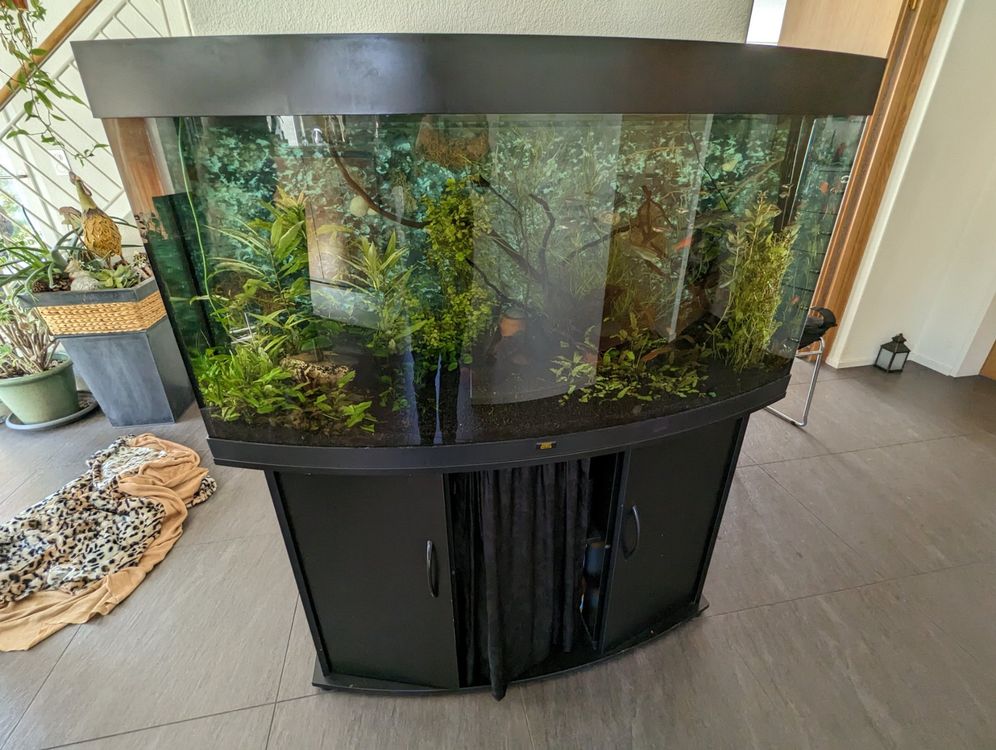 Juwel Vision 240l (Gebraucht) in Giswil für CHF 125 – nur Abholung auf ...