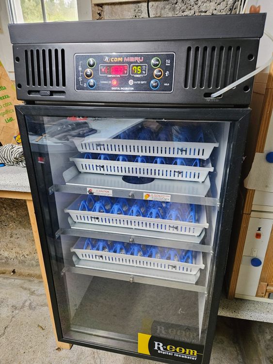 Brutmaschine Rcom Maru 380 (Gebraucht) in Wetzikon ZH für CHF 705 – nur ...