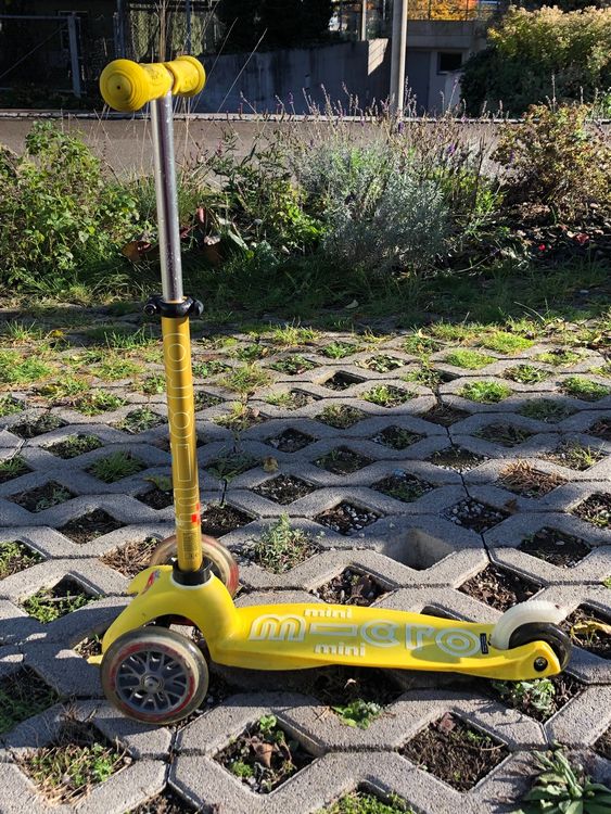 Micro Mini Scooter ab 2 Jahre gelb Trottey Roller | Kaufen auf Ricardo