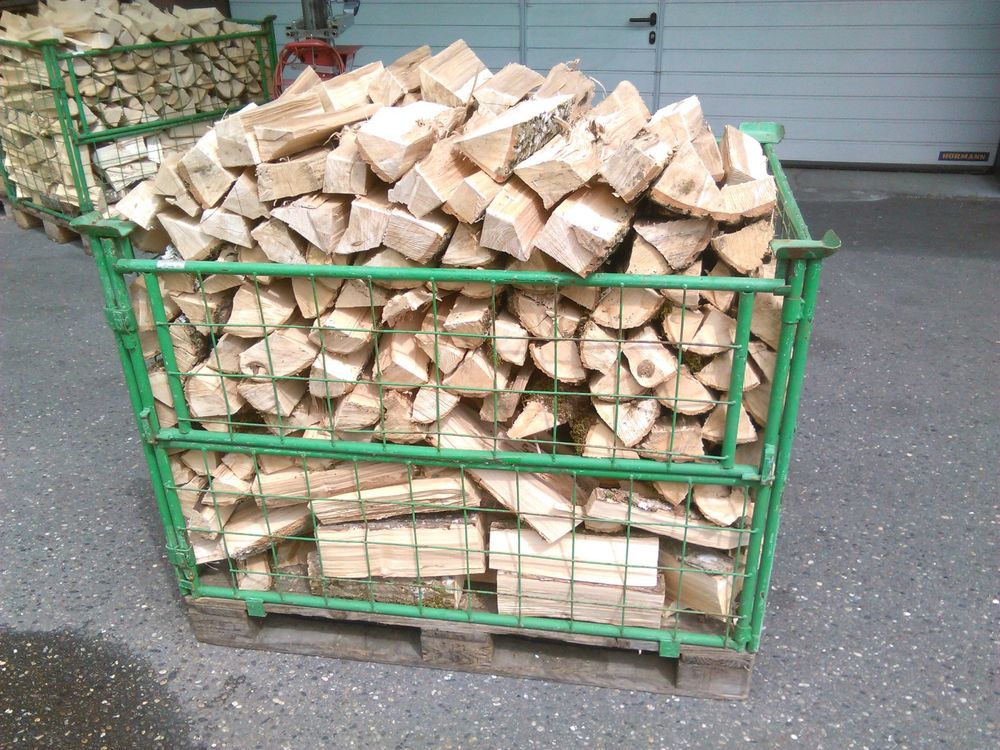 Hartholz, Esche, Buche, 33 cm Schittli (Neu (gemäss Beschreibung)) in ...