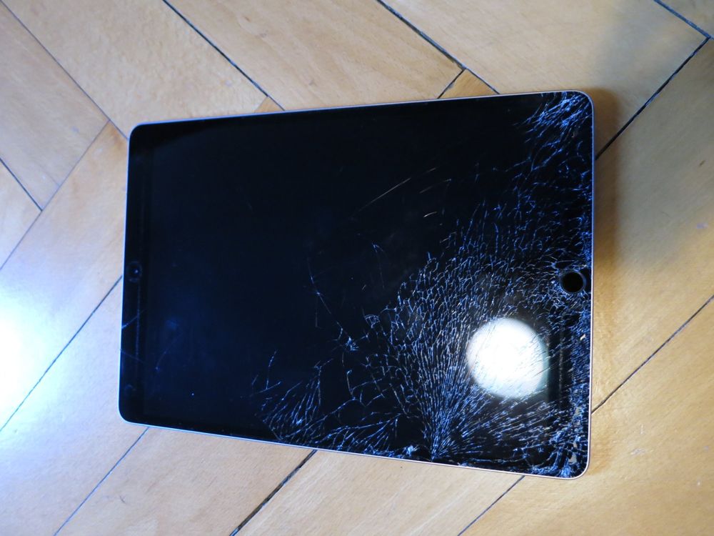 Apple iPad Pro 10.5" 256GB WiFi + Cellular (Gebraucht) in Mendrisio für ...