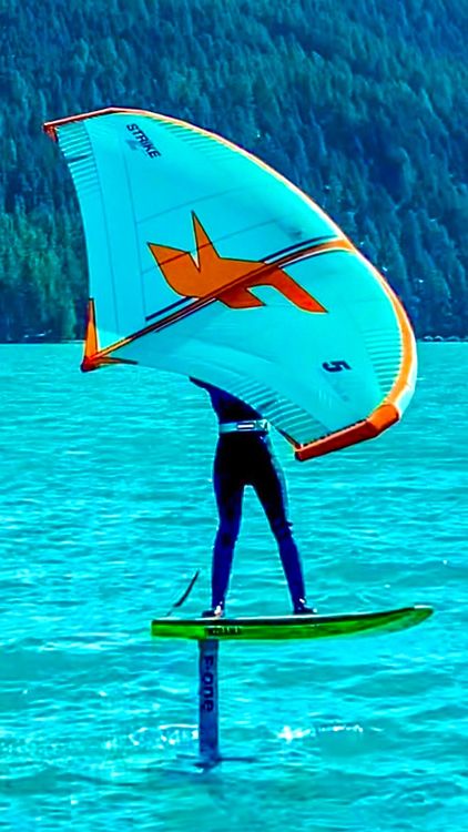 Wingfoil Wing | Kaufen auf Ricardo