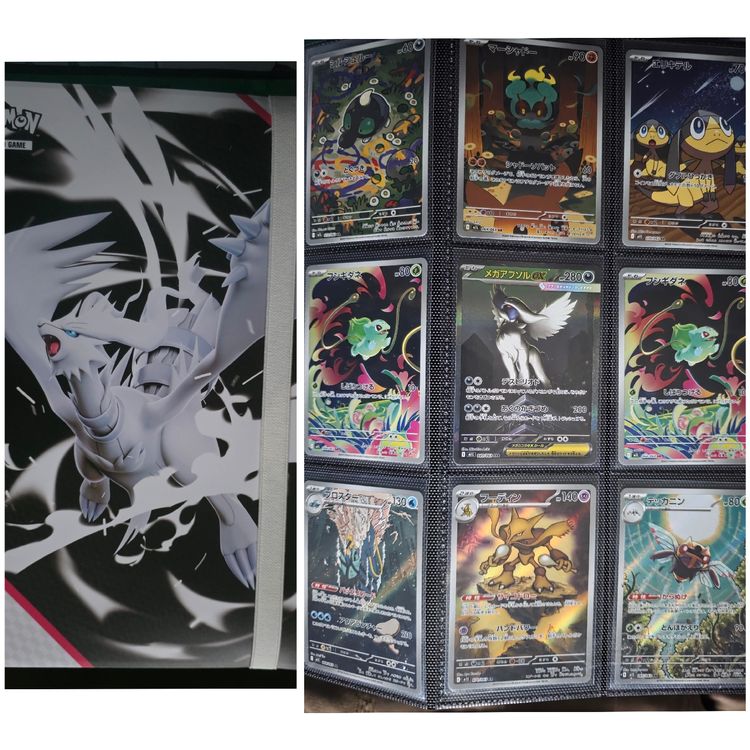 🔥XXL Pokemon Sammlung🔥396‼️ SPEZIALKARTEN im Ordner (Gebraucht) in ...