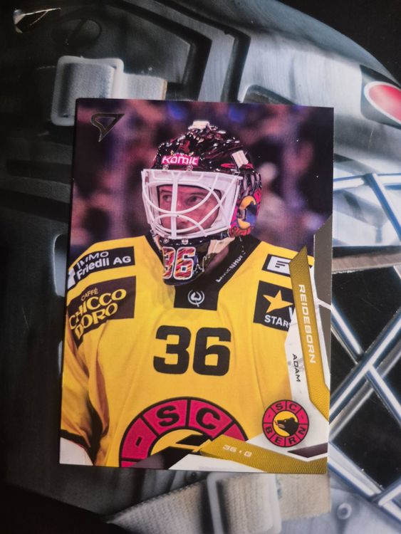 Adam Reideborn SC Bern 2025/26 Sportzoo (Gebraucht) in Treiten für CHF ...