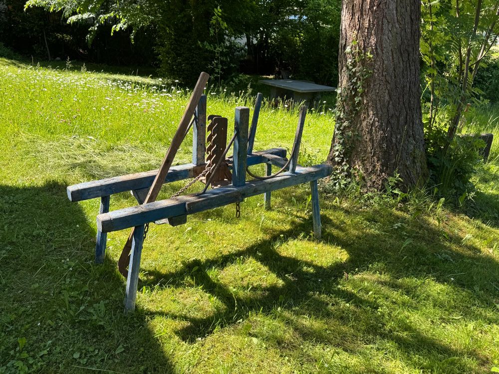 Staudenbock, Bürdelibock, Wellenbock (Gebraucht) in Kilchberg ZH für ...
