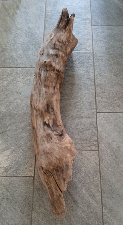 Schwemmholz (Neu und originalverpackt) in Widnau für CHF 90 – nur Abholung auf Ricardo kaufen