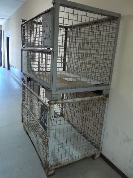 Metallbox Gitter Box 2 Stk. (Gebraucht) in Winterthur für CHF 110 – nur ...