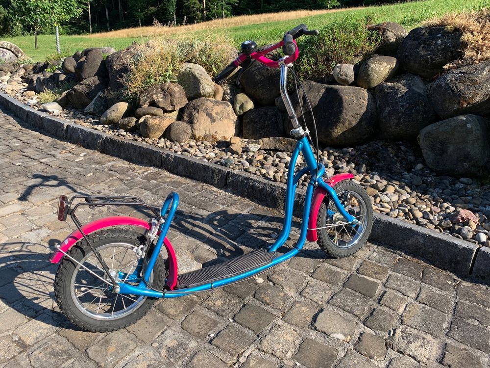 Stabiler Trotti / Roller mit Vollausstattung (Gebraucht) in Birmensdorf ...