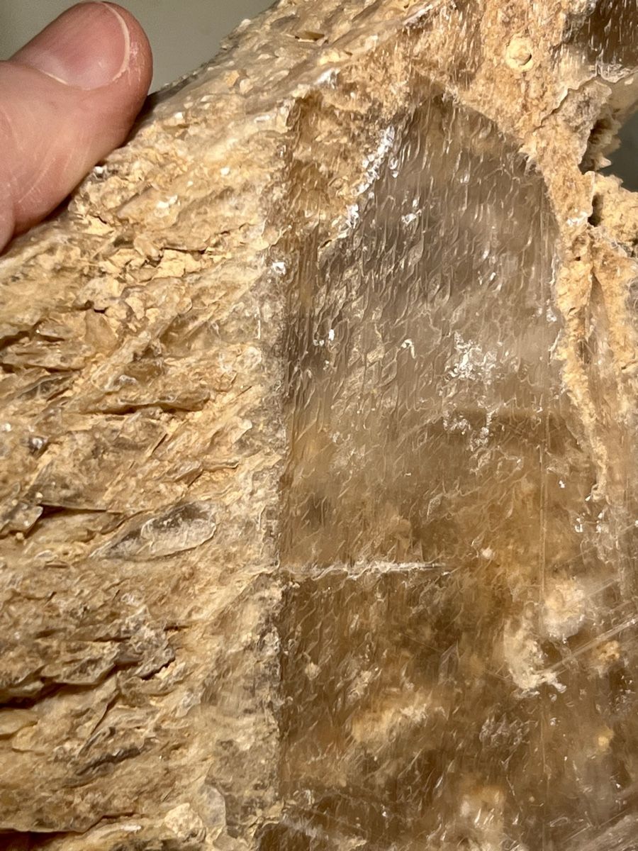 Grand Spécimen de Gypse Fer de Lance Collection Curiosité (D'occasion ...