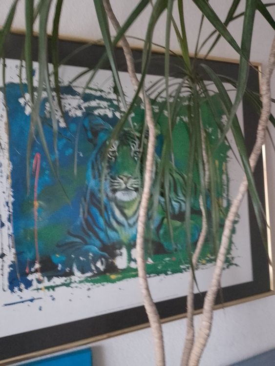 Tiger Rolf Knie (Gebraucht) in Weinfelden für CHF 125 – nur Abholung auf Ricardo kaufen