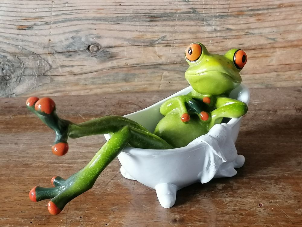 Frosch Deko fürs Badezimmer | Kaufen auf Ricardo