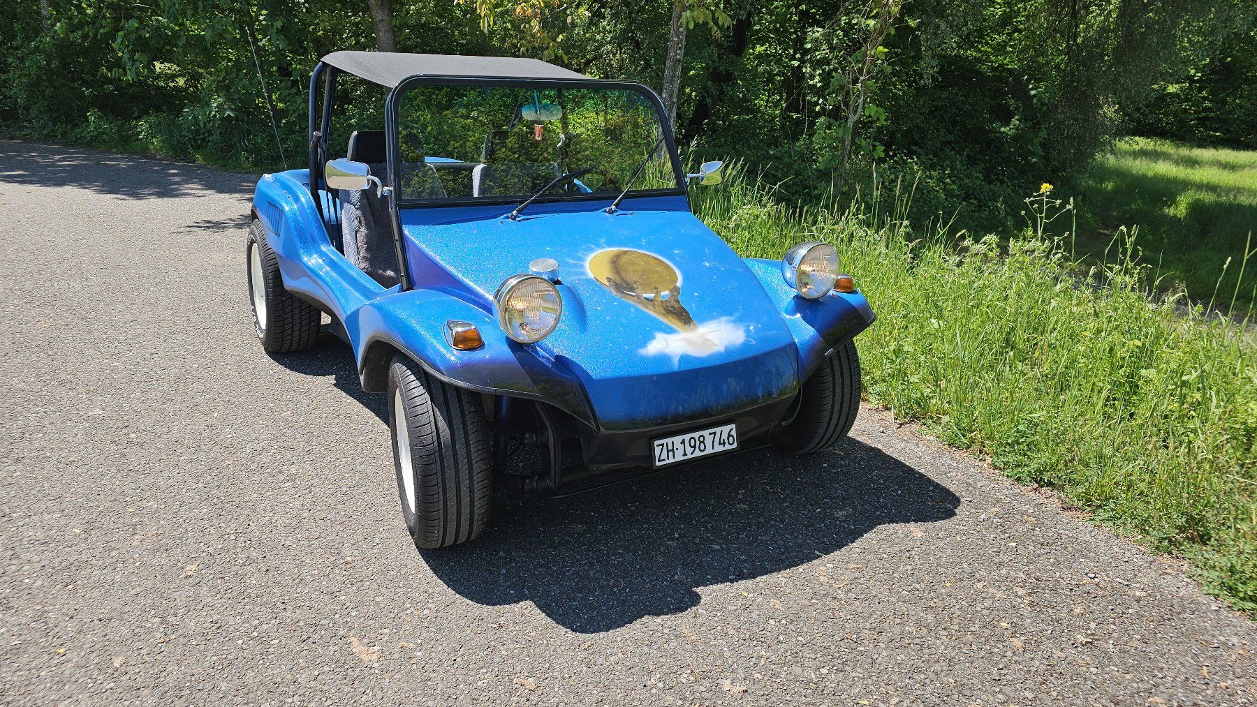 Original Apal Buggy (Gebraucht) in Reinach AG für CHF 9000 – nur ...