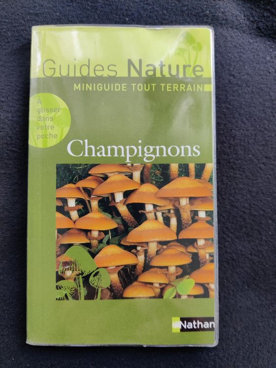 Champignons / Guides Nature (Nathan 2004) - Miniguide (D'occasion) à ...