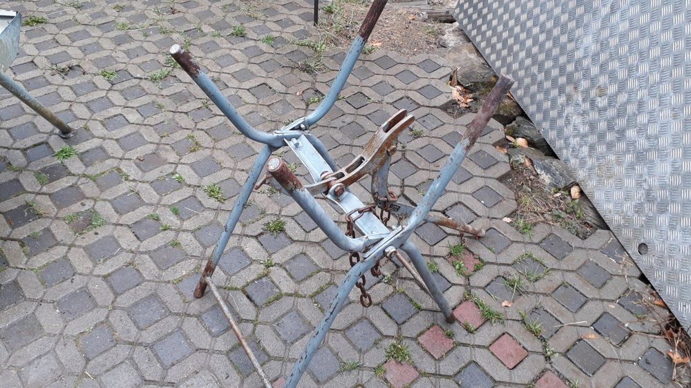 Wedele Bock, Büschel Bock | Kaufen auf Ricardo