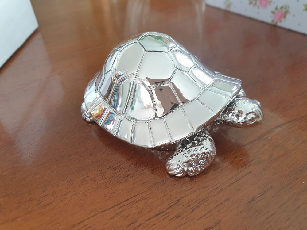 Schöne silberne Schildkröte | Kaufen auf Ricardo
