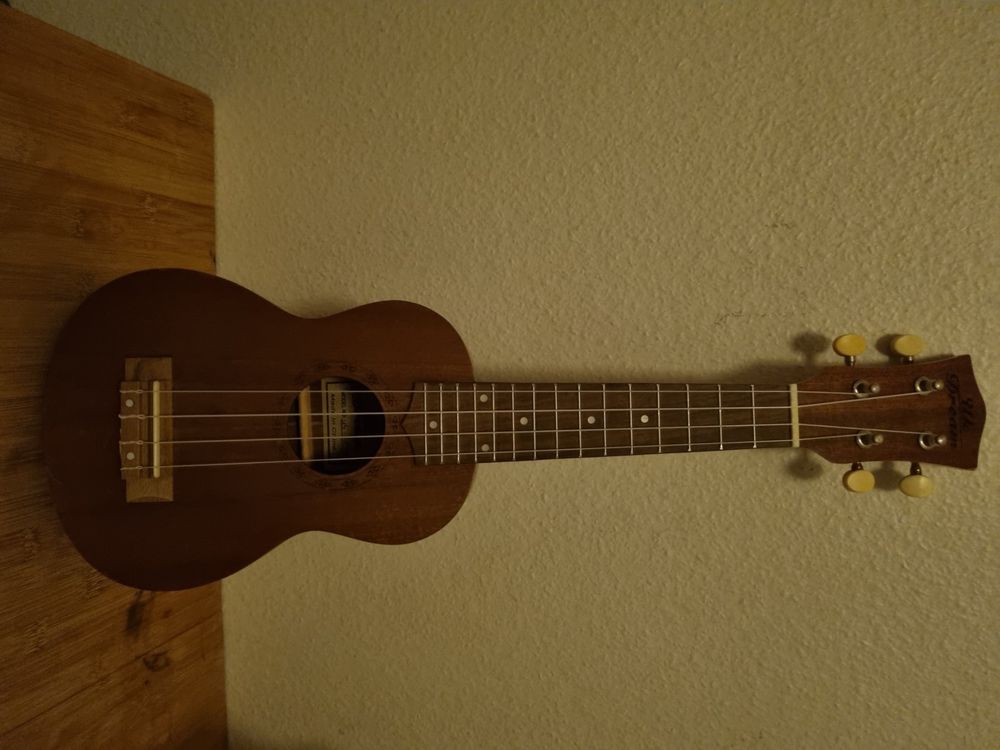 Ukulele aus Holz | Kaufen auf Ricardo