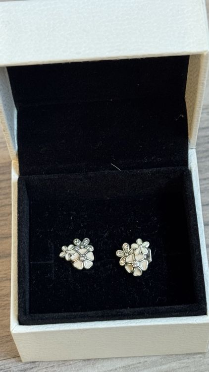 Pandora Ohrstecker (Gebraucht) in Bülach für CHF 14 – mit Lieferung auf ...
