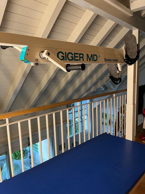 Fitness - Giger MD - Koordinations-Dynamikgerät (Gebraucht) in für CHF ...