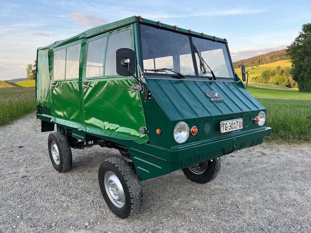 Haflinger Steyr Puch | Kaufen auf Ricardo