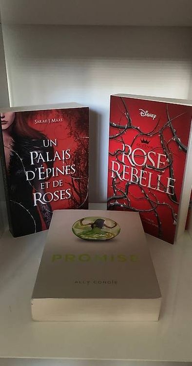Acotar / rose rebelle/ promise = romance (D'occasion) à Genève pour CHF ...