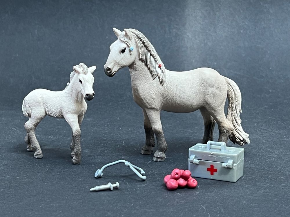 Schleich HORSE CLUB Island Pony, Hannahs Erste Hilfe Set | Kaufen auf Ricardo