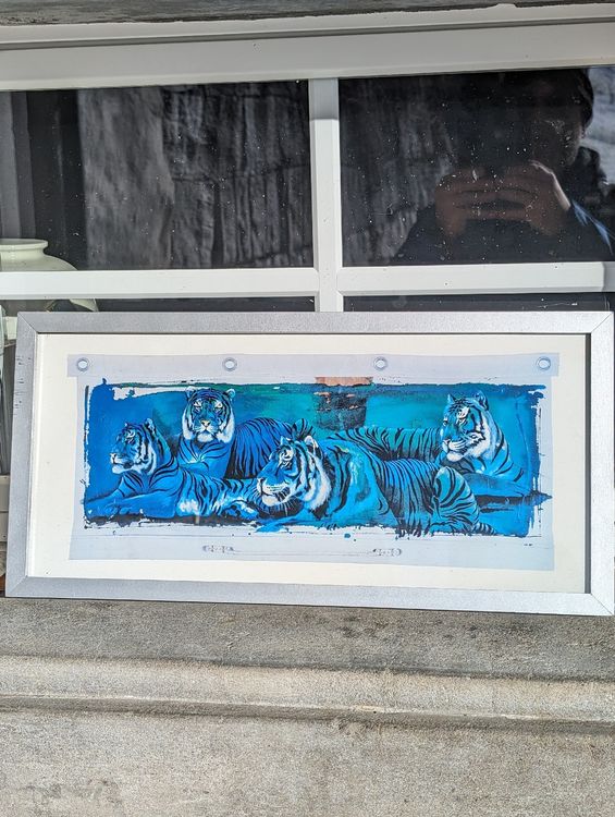 Bild Rolf Knie Print (Gebraucht) in Thun für CHF 1 – mit Lieferung auf Ricardo kaufen