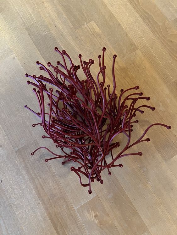 Vitra, Algue, Wanddeko/Raumteiler (Gebraucht) in Rapperswil SG für CHF ...