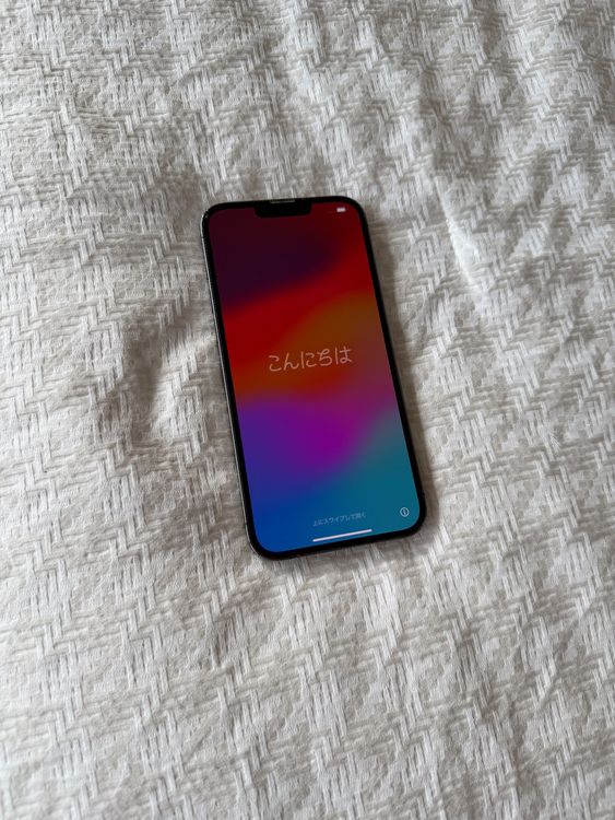 iPhone 13 PRO MAX 256GB Anthrazit (Gebraucht) in Beinwil am See für CHF ...