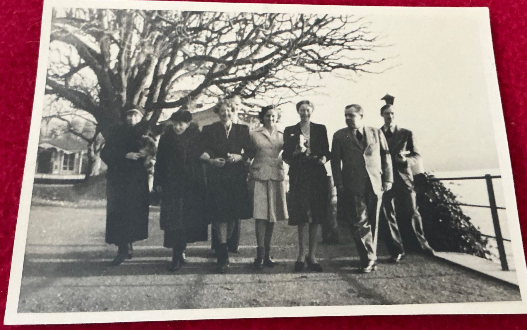 Alte Foto-Karte von 1945 - Adlige Familie Schwarzenburg (Gebraucht) in ...