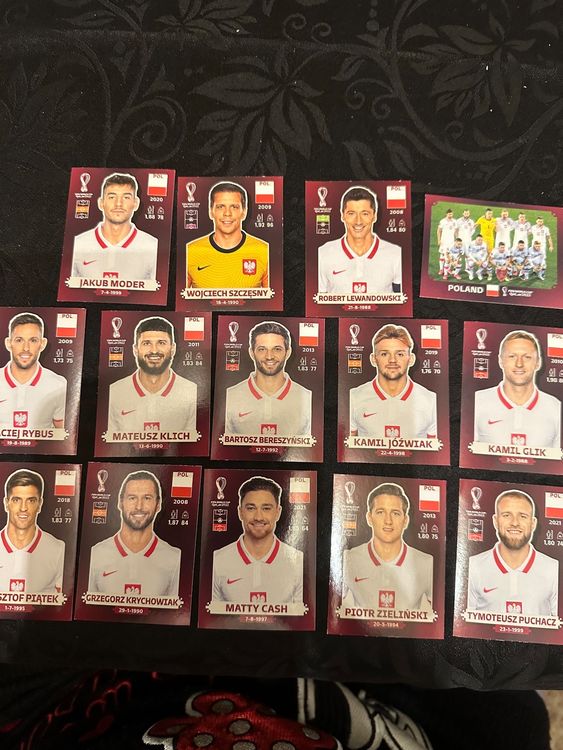 Panini Sticker (Gebraucht) in Bad Ragaz für CHF 2 – mit Lieferung auf ...