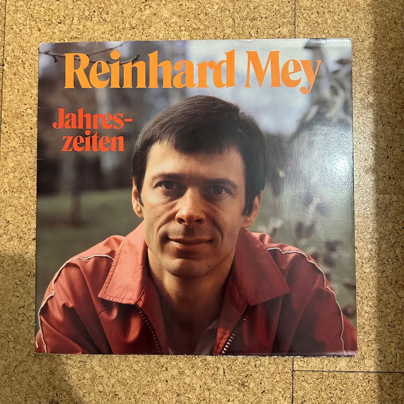 LP - Reinhard Mey (Usato) a Breganzona per CHF 1 – solo ritiro ...