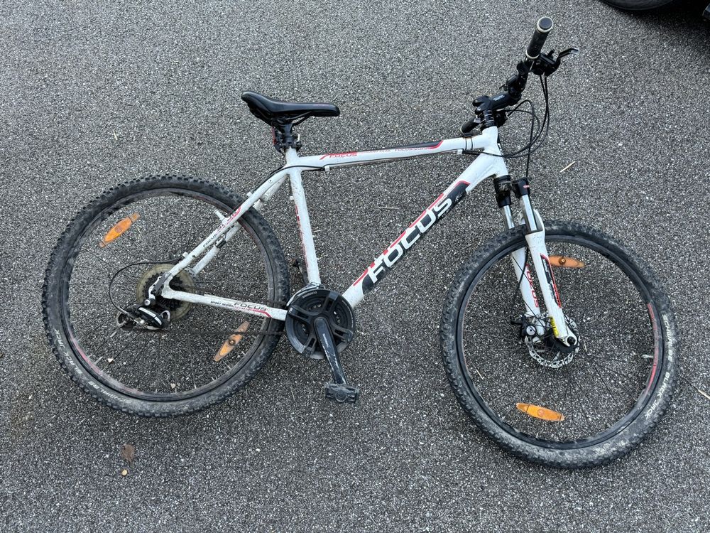 Focus Bike | Kaufen auf Ricardo