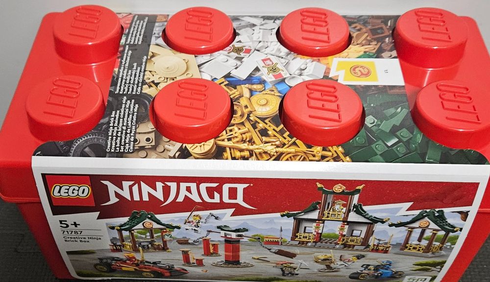 LEGO Ninjago Creative Ninja Brick Box Set 71787 (Neu und ...