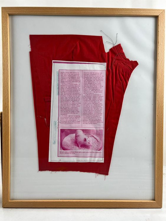 interessant bild | Kaufen auf Ricardo