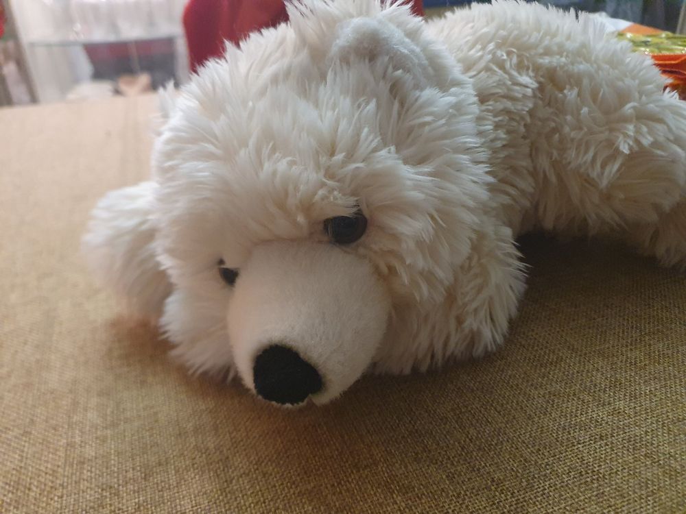 Peluche orsetto polare Aurora (Gebraucht) in Melano für CHF 2 – mit ...